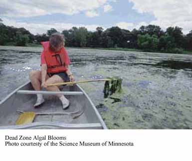 Minnesota to Mississippi Rivers | Minnesota River Basin Data Center